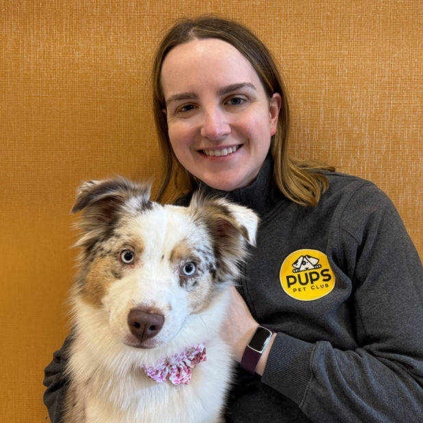 Dog Daycare, Training & Grooming in Wicker Park Chicago | PUPS