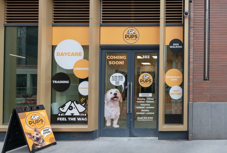 Downtown Brooklyn: Dog Boarding, Grooming, Daycare & More