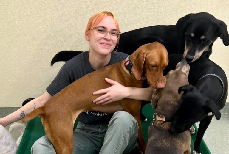 Downtown Brooklyn: Dog Boarding, Grooming, Daycare & More