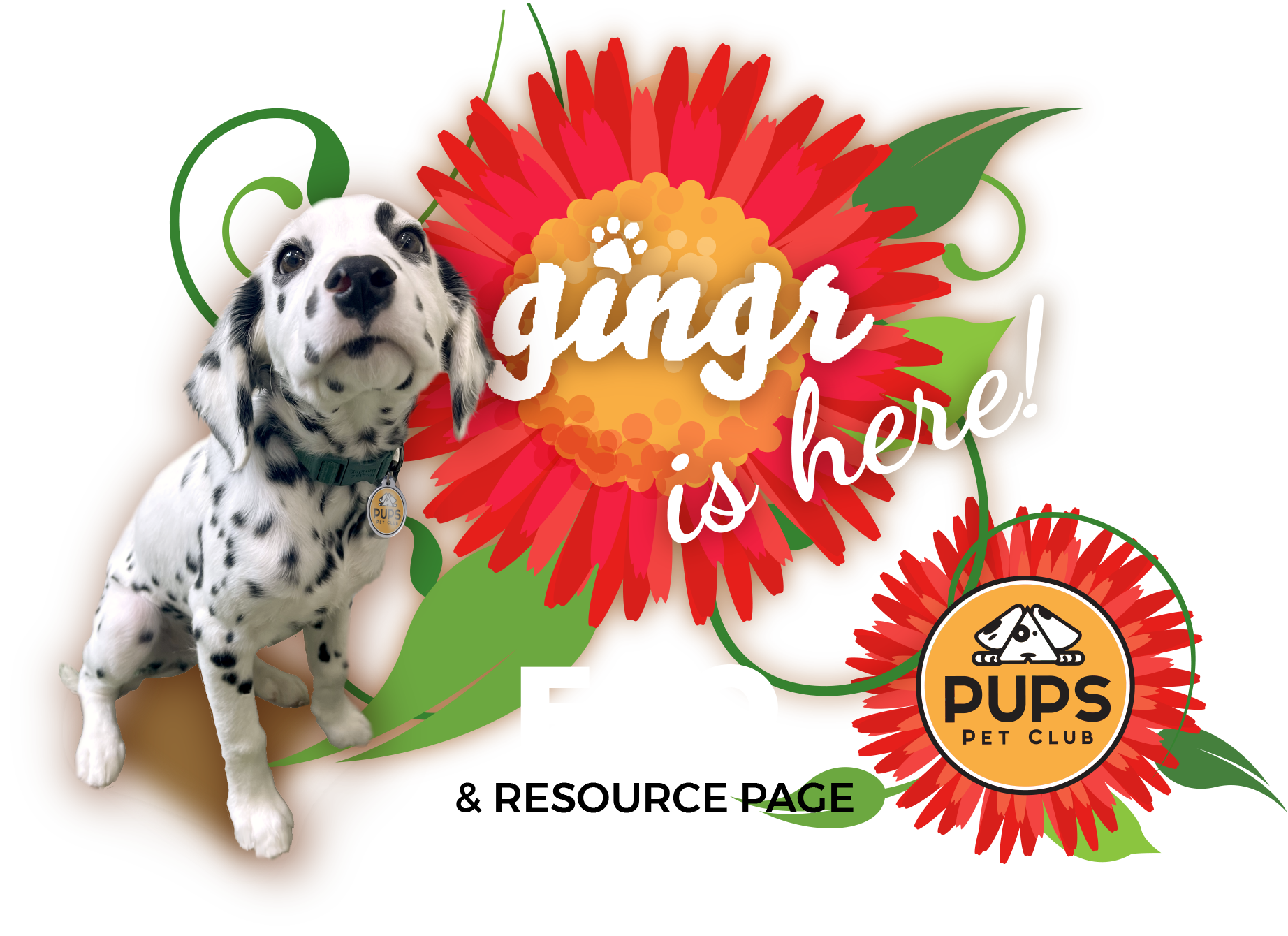 PUPS Pet Club - Gingr FAQs